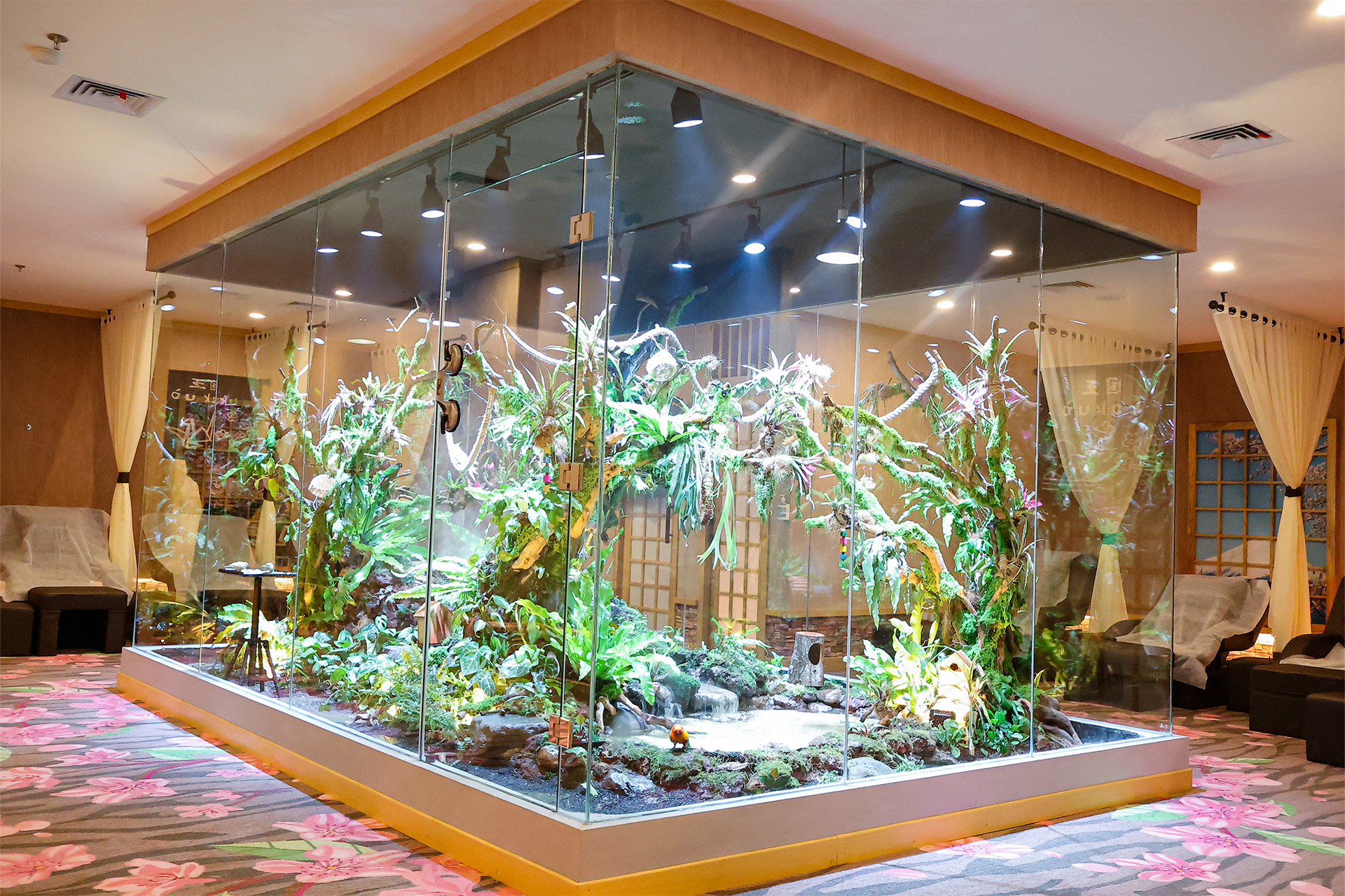 Kokuo Family Massage & Reflexology - AEON Mall BSD City - Promo ...
