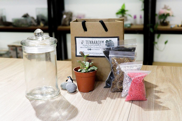 Tiket Terrarium DIY Home Kit or Workshop in Funan and Paya Lebar ...