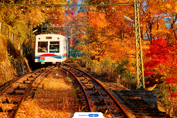 Tiket Kyoto Eizan Cable Car and Ropeway Round Trip Ticket Harga Promo ...