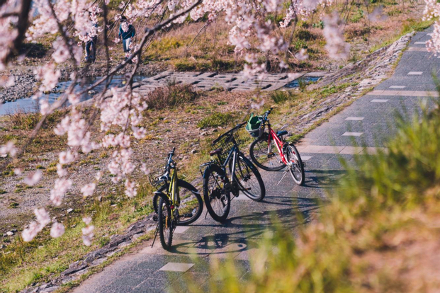 Tiket [electric bicycle tour]: 6-hour travel course by electric bicycle Asakusa, Ueno Park, Edo ...