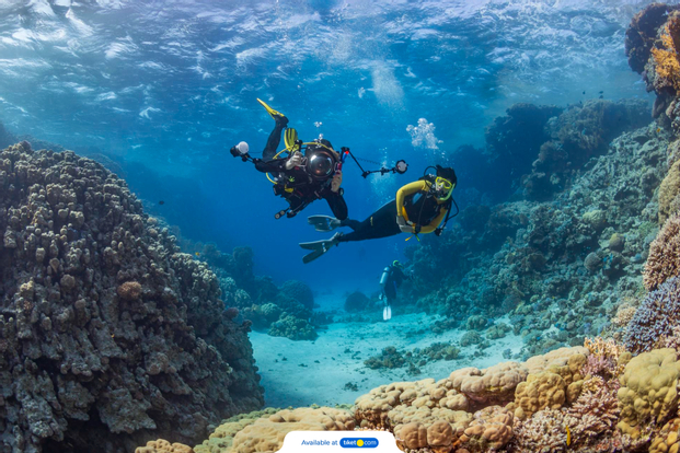 Tiket Extend Your Bottom Time: Nitrox Course in Koh Tao with PADI Center Harga Promo - tiket.com