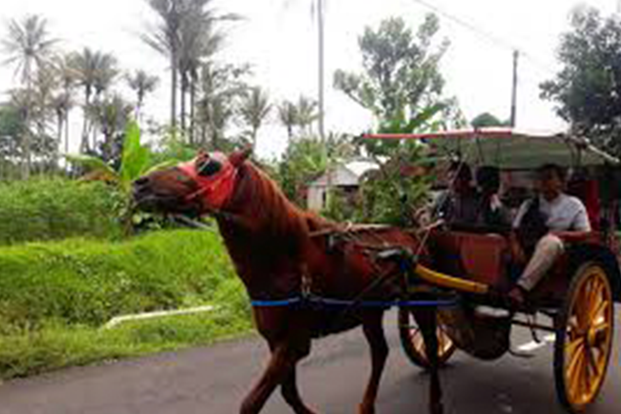 Tiket Wisata Delman Tilik Ndeso Borobudur by Arowisata Harga Promo ...