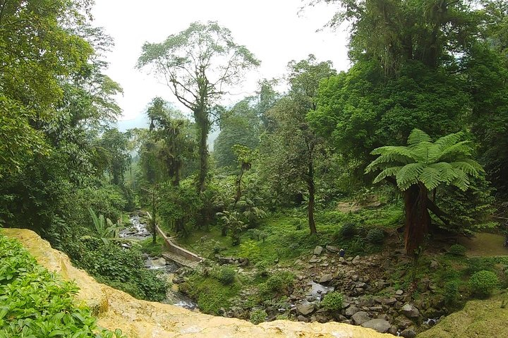 Hike through Java jungle and explore waterfalls, lakes and local ...