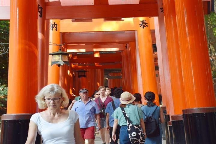 Fushimi Inari Taisha Shrine Highlights Tour with Nationally-Licensed ...