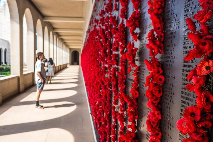 Canberra Day Trip from Sydney including Floriade Flower Festival in ...