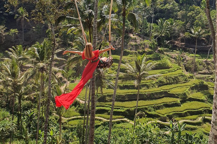 Tiket Ubud Shared Tour: 2 Waterfalls - Tegalalang Rice Terraces - Holy ...