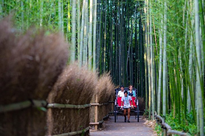 Tiket Kyoto Arashiyama Rickshaw Tour with Bamboo Forest - Harga Promo ...