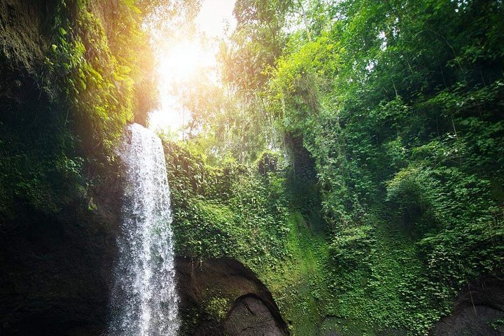 Tiket Private" Ubud village & Campuhan Ridge Walk "Day Tour - Harga ...
