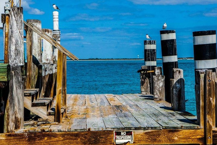 Tiket Egmont Key Snorkeling Dolphin Tour - Harga Promo tiket.com