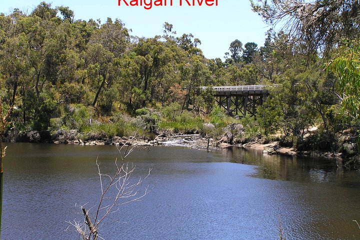 Kalgan Queen Scenic Cruises a four hour sheltered water wildlife tour ...