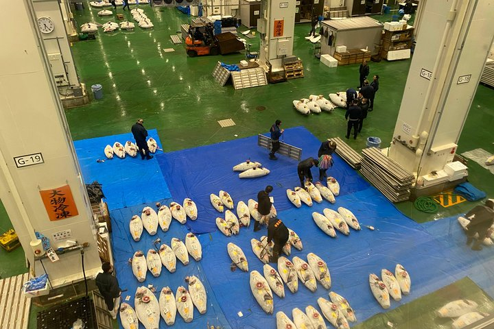 Tuna Auction & Tokyo's Fish Market Walk Tour in Toyosu & Tsukiji Harga ...