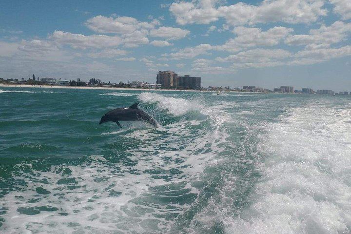 Tiket Sea Screamer Boat Cruise in Clearwater Beach with Transport ...