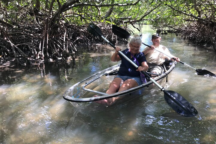 Island Mangrove Tour by CLEAR Kayak and Paddleboard - Bonita Springs ...
