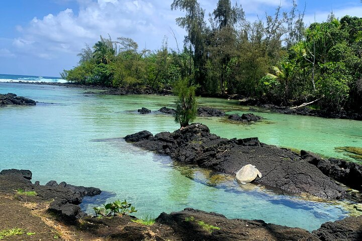 Tiket Hilo Town Tour Hop on Hop off experience - Harga Promo tiket.com