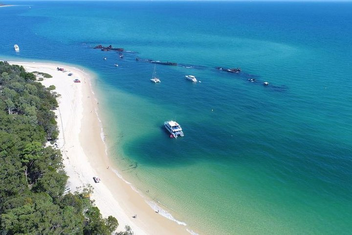 Cruise in Moreton Bay Marine Park and Moreton Island Harga Promo ...