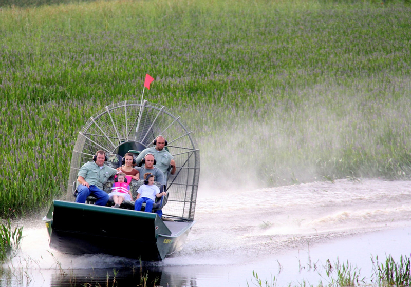 Tiket Wild Florida: Everglades Airboat Tour + Gator & Wildlife Park ...