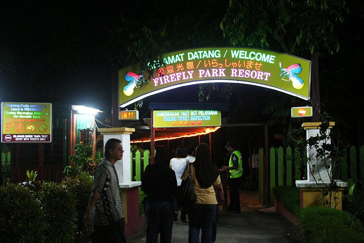 Tiket Kuala Selangor Firefly Tour : Exclusive Deal - Harga Promo tiket.com