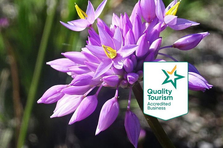 Tiket Spring Wildflower (Private) Day Tours Harga Promo - tiket.com