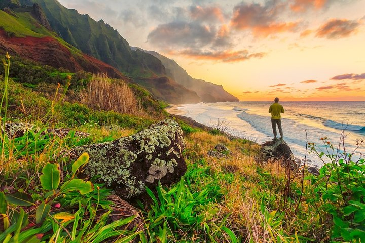 Tiket The best of Honolulu Walking Tour Harga Promo - tiket.com