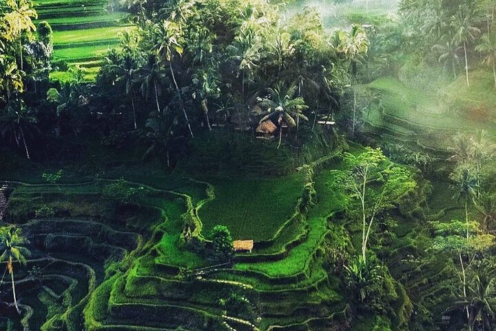 Tiket Bali Sightseeing Harga Promo - tiket.com