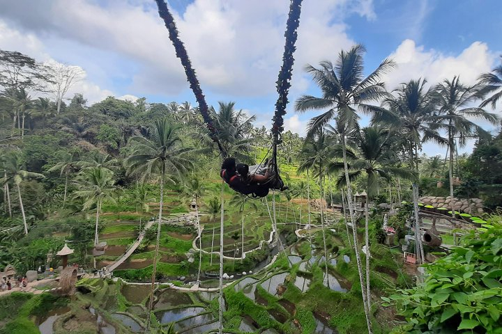 Tiket Bali tour service Harga Promo - tiket.com