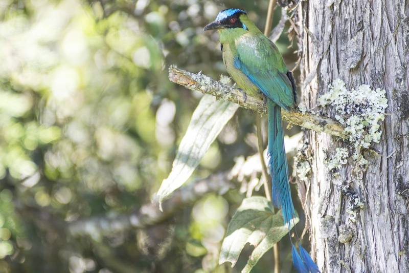 Tiket Medellin Parque Arvi Guided Tour Harga Promo - tiket.com