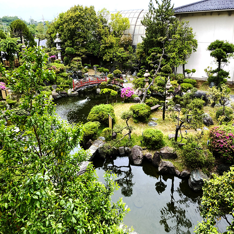 Tiket Fukui Awara Onsen Hot Spring & Matcha Experience & Walking in the ...