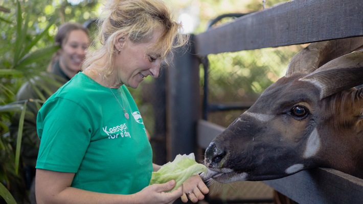Get Ticket Taronga Zoo Entry and 1-Day Harbour Ferry Pass Promo Prices ...