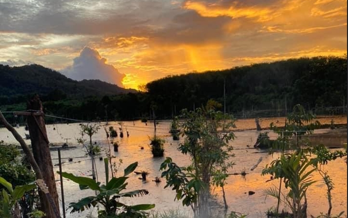 Tiket Kayaking Klong Root Viewpoint, Fish Feeding, Elephant Care, ATV ...