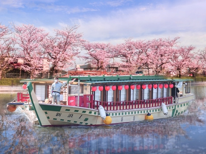 Get Ticket Tokyo Cherry Blossom Season Exclusive Japanese-style ...