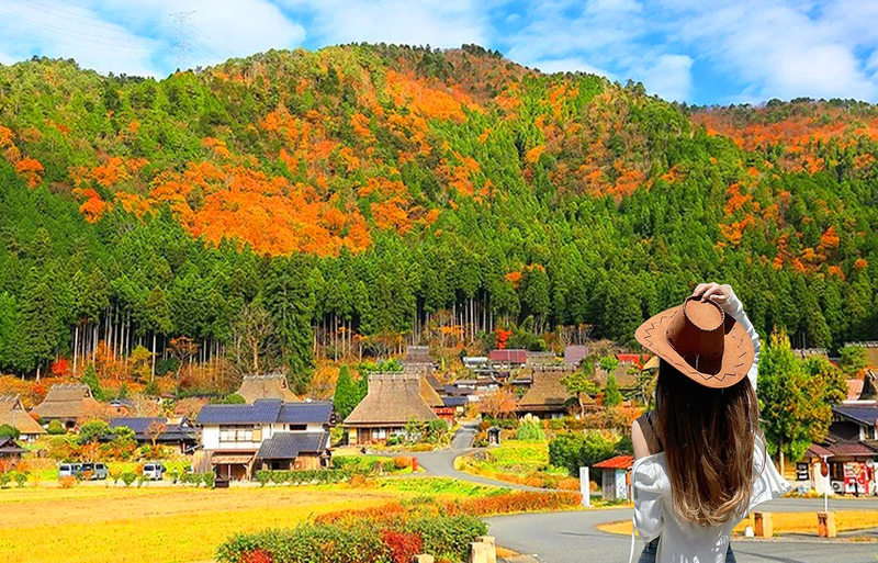 Get Ticket [Parent-child recommendation Kyoto day trip, free seagull ...