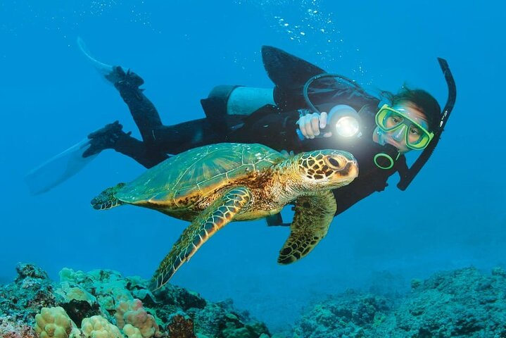 Tiket Alanya Scuba Diving and Snorkeling Trip Harga Promo - tiket.com