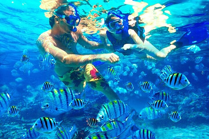Get Ticket Private Blue Lagoon Snorkeling Lunch All Inclusive Promo ...
