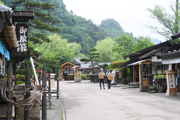 Get Ticket Nikko Day Trip from Tokyo Private Car Tour with Local Guide ...