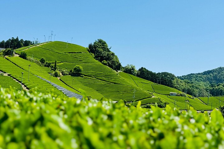 Tiket Private adventures into the hidden gems of greater Kyoto Harga ...
