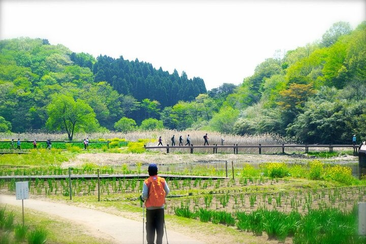 Tiket Lake Shidaka and Lake Kagurame Nordic Walking Tour Harga Promo ...