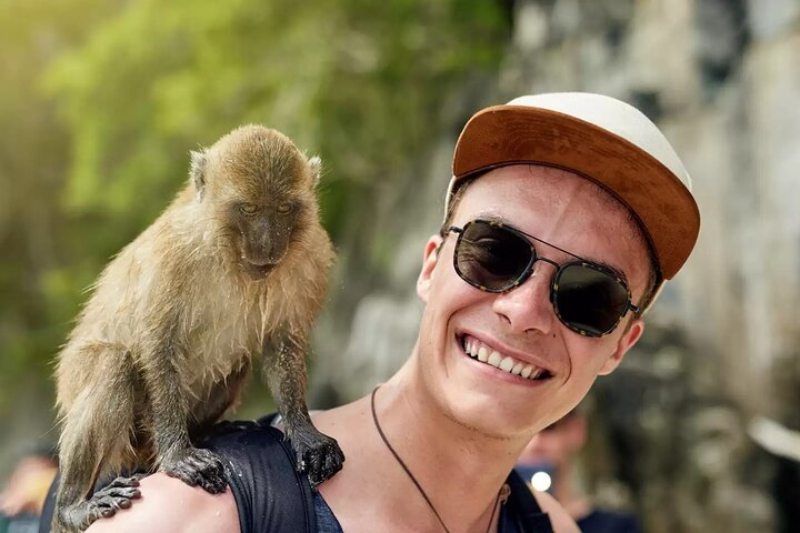 Tiket Ubud Experience Wildlife Temples and Nature Highlights Harga ...