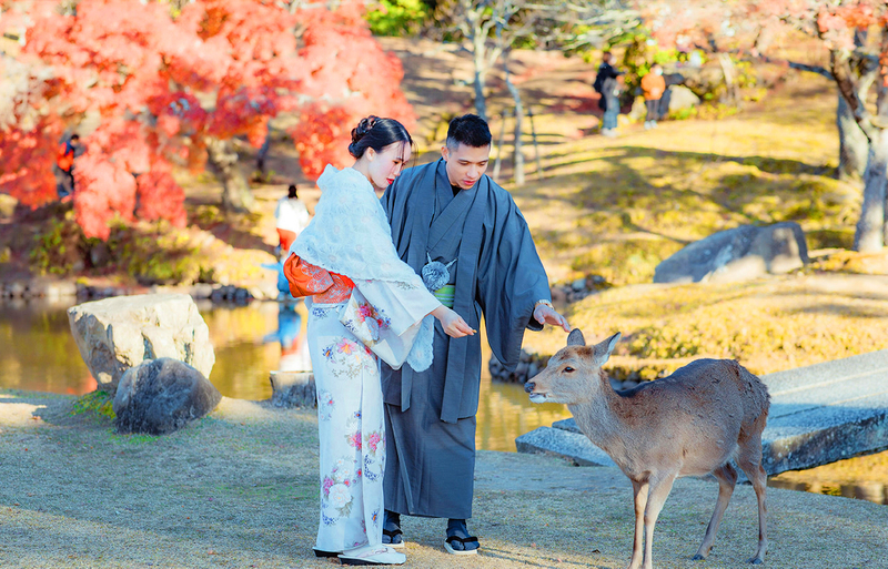 Get Ticket [Nara & Uji] Nara Park & Todai-ji Temple & Byodo-in Temple ...