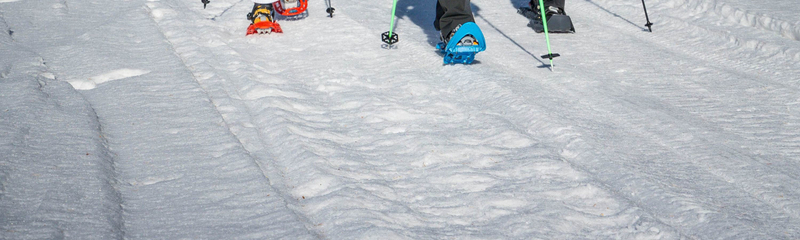 Tiket Panoramic snowshoeing in Bousson: one hour from Turin Harga Promo ...