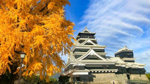 Get Ticket Kumamoto Aso Boy Kumamoto Castle Aso Crater 1-day tour Promo ...