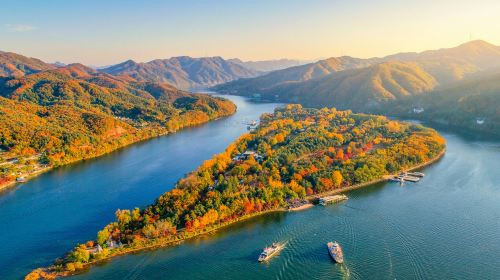Get Ticket Alpaca World + Nami Island One Day Tour [Depart from Seoul ...