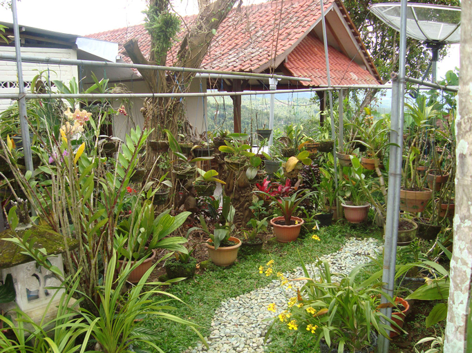 Guru Ratna Homestay: Discount Price & Hotel Promo 2024