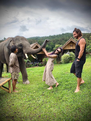 Harga 3 Pok Maewang jinxiang Gold elephant park Terbaru 2023 - Booking ...