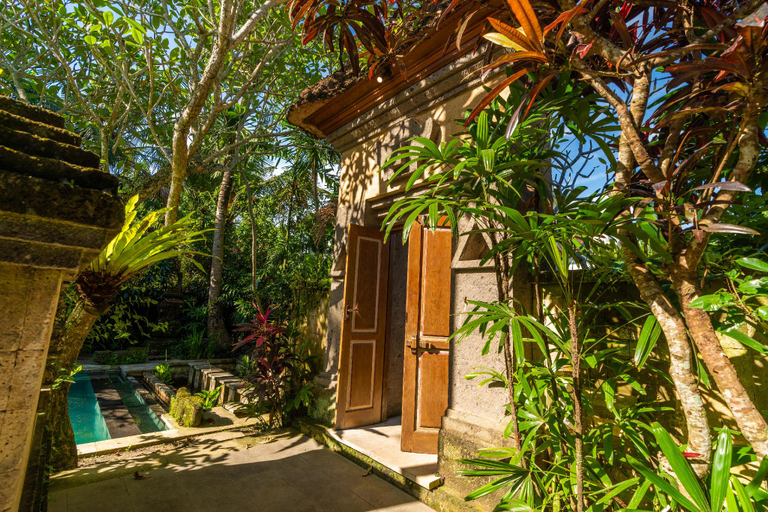 The Pause Inn - Soca (101) - Harga Promo 2024 di tiket.com