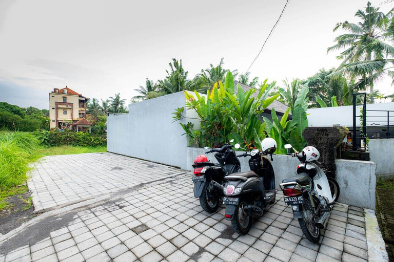 Ayunda by Supala - Harga Promo Villa & Apartemen