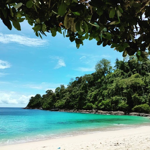 Java Turtle Lodge Meru Betiri: Harga Diskon + Promo Hotel 2024