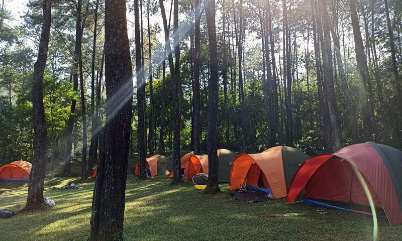 Sentul Eco Edu Tourism Forest Camp, Bogor Booking Murah di tiket.com