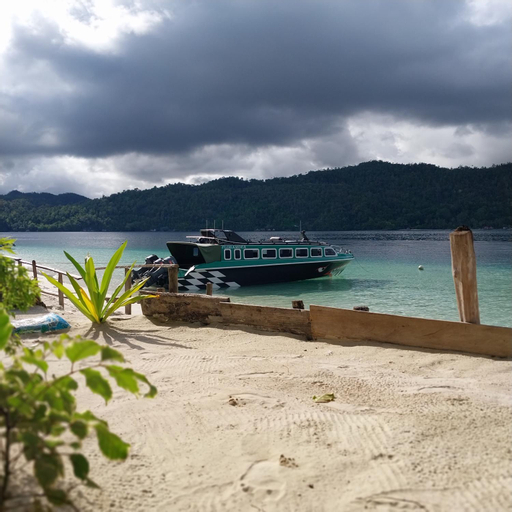 Rental speed boat raja ampat, Raja Ampat Booking Murah di tiket.com